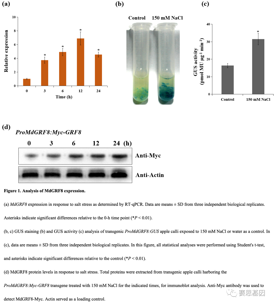 【Plant Physiol】14-3-3蛋白GRF8通过WRKY18-SOS途径调节苹果耐盐性 - 赛思基因——硬核科技，突破“基”限 - 遗传转化一站式解决方案