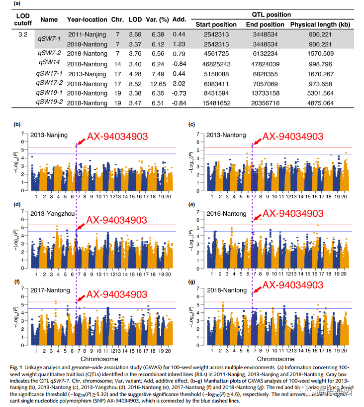【New Phytol】赤霉素3β-羟化酶的下调增强了大豆的光合作用并提高了种子产量 - 赛思基因——硬核科技，突破“基”限 - 遗传转化一站式解决方案