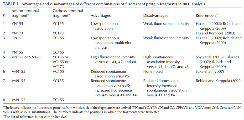双分子荧光互补(BiFC) - 赛思基因——硬核科技，突破“基”限 - 遗传转化一站式解决方案