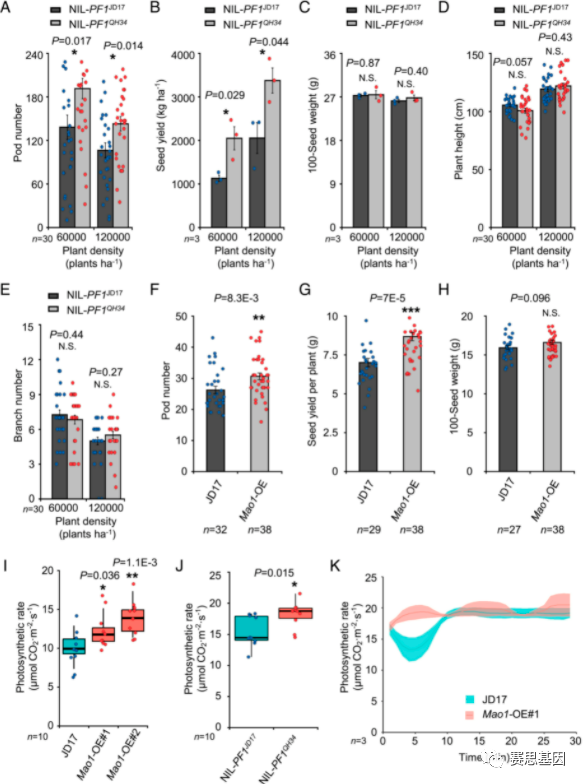 【PNAS】大豆Mao1启动子中的反转录转座子插入可导致大豆产生直立短柔毛并且显著提高产量 - 赛思基因——硬核科技，突破“基”限 - 遗传 ...