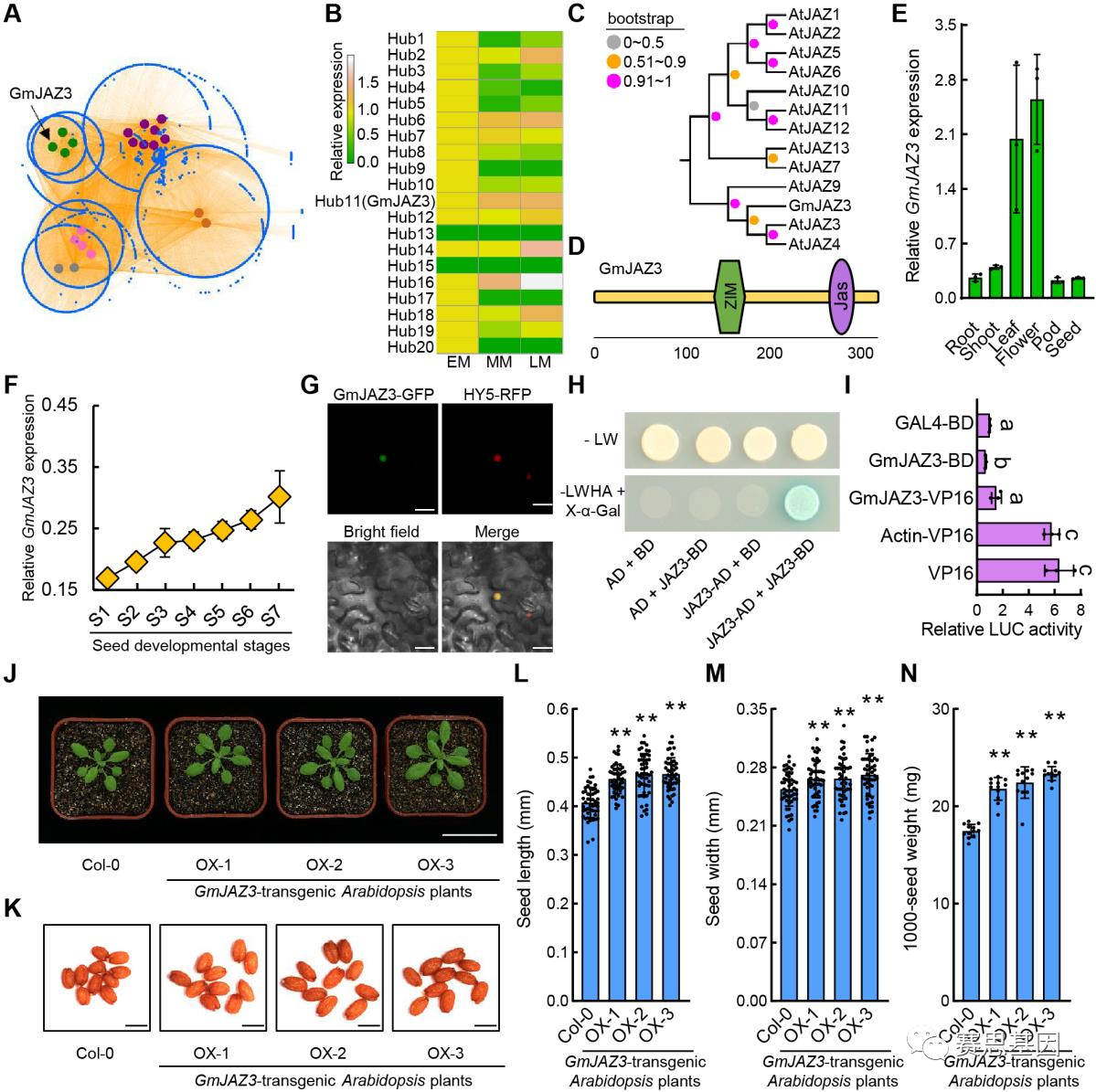 【J INTEGR PLANT BIOL】GmJAZ3与GmRR18a和GmMYC2a相互作用调节大豆种子的性状 - 赛思基因——硬核科技 ...